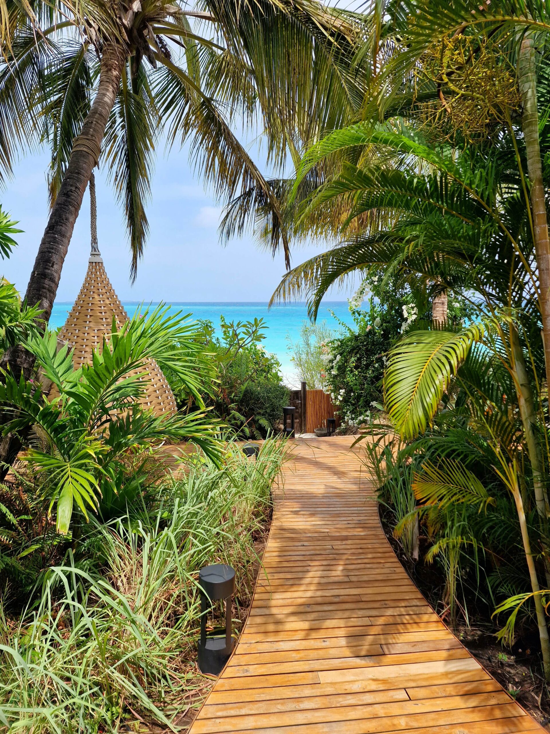 Gallery - Time for African Adventures