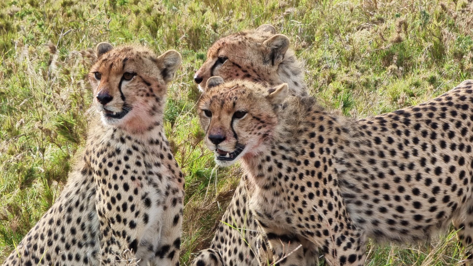 Gallery - Time for African Adventures